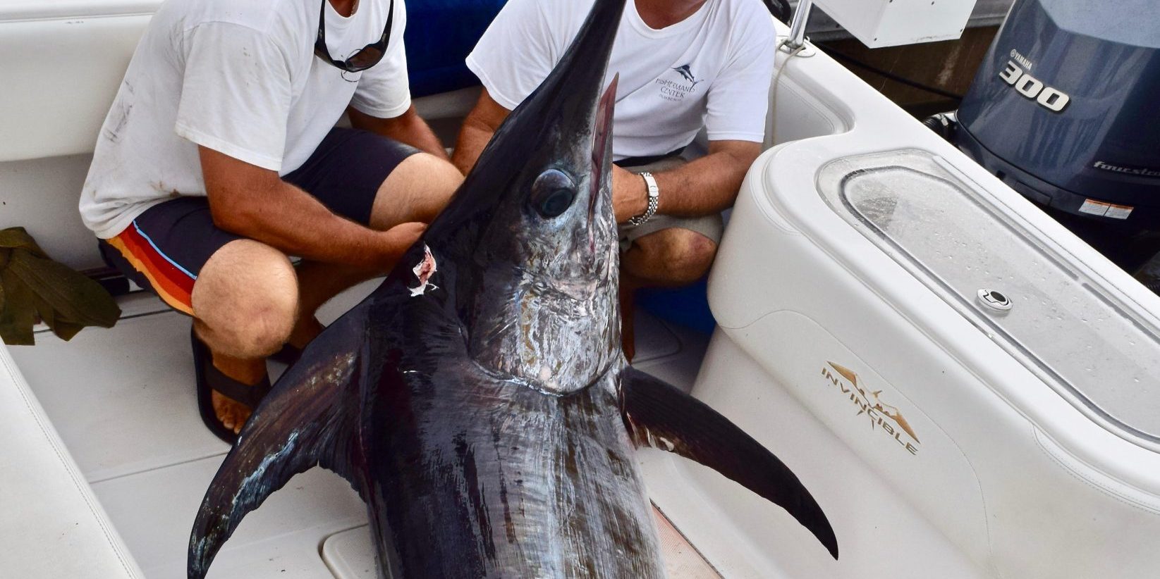 New To Daytime Swordfishing? Where, When, How, and Why They Bite ...